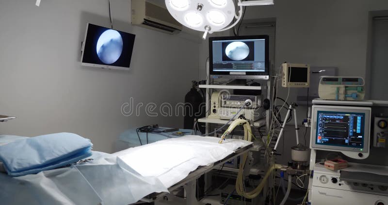 In the Operating Room, the Veterinarian Makes an Incision and, Using an ...