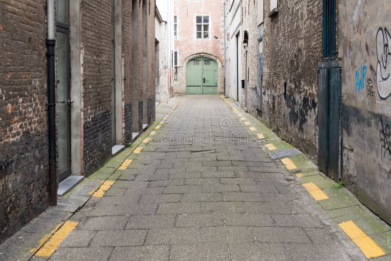 Alleyway with Paved Road To Autumn Park Stock Image - Image of green ...