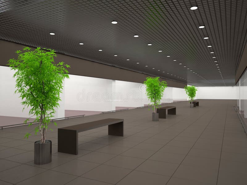 Empty store stock illustration. Illustration of design - 11739301