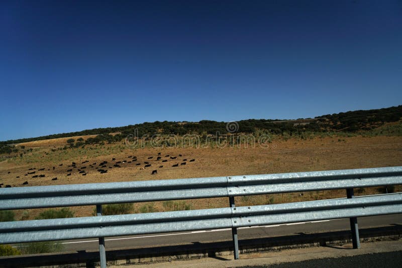 Empty Street with Metal Borders during the Daytime Stock Image - Image ...