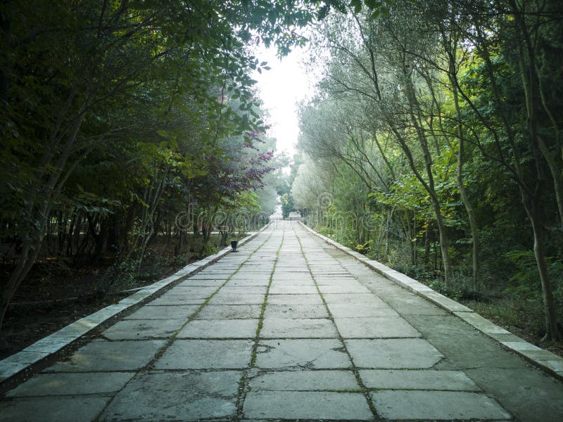 Empty Street at the Nice and Comfortable Garden at the Morning. Stock ...