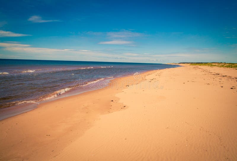 Empty stretch of beach stock image. Image of untouched - 77250311