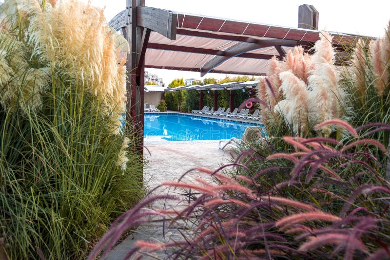 Empty Stretchers by the Pool in the Summer Resort Stock Image - Image ...