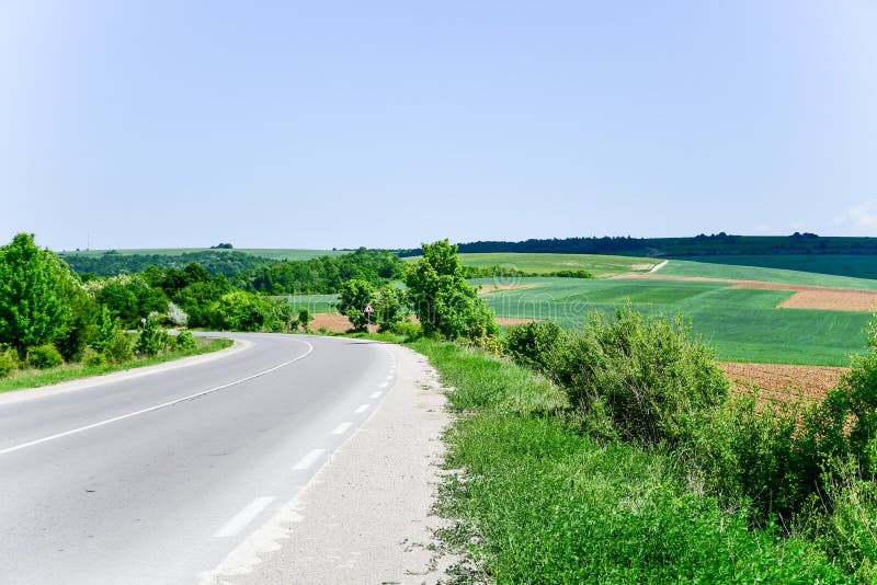 Sunny road stock image. Image of auto, green, linear - 116104653