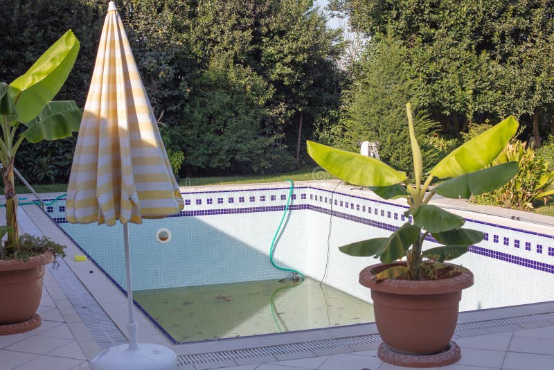 239 Scary Swimming Pool Stock Photos - Free & Royalty-Free Stock Photos ...