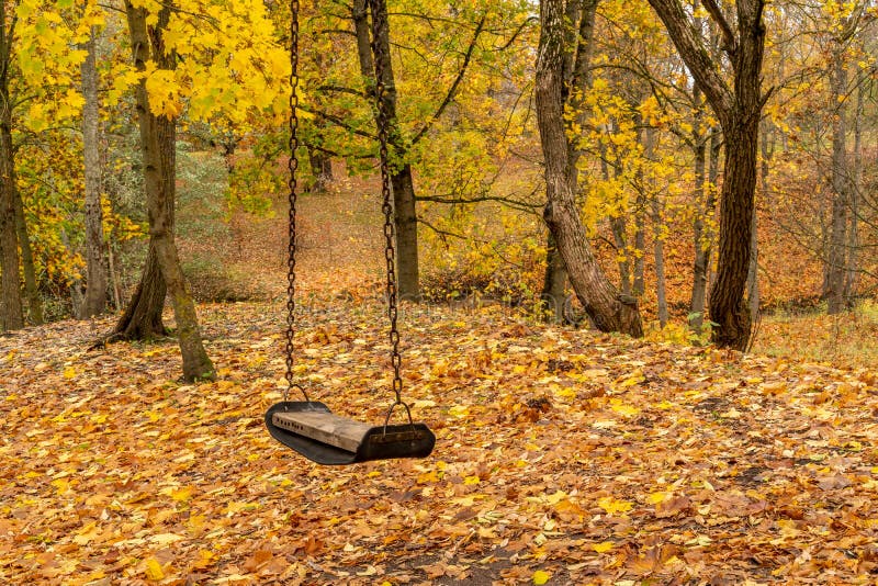 Empty Swing With Leaves In The Autumn Season Stock Image - Image of ...