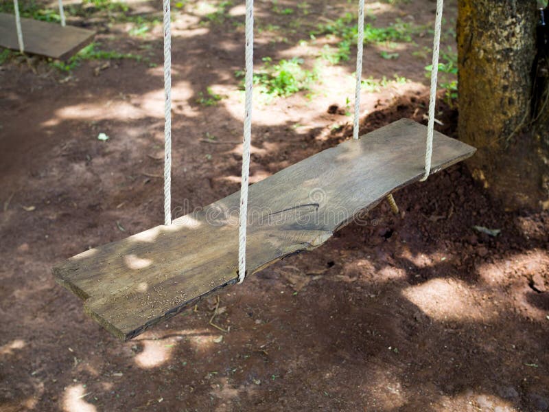 Empty Swing Hanging from a Tree Stock Photo - Image of tree, swing ...