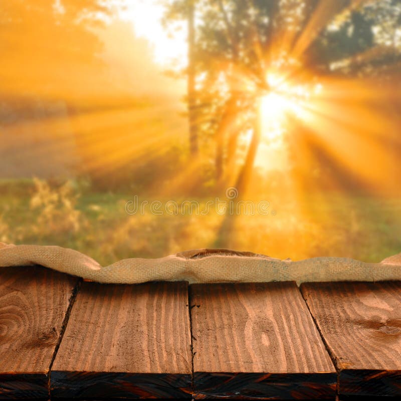Empty table stock image. Image of park, casting, beam - 28685075