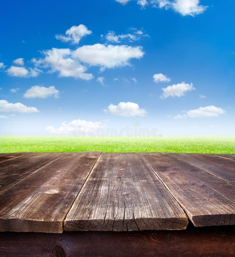 Empty table in the garden stock photo. Image of green - 40513700