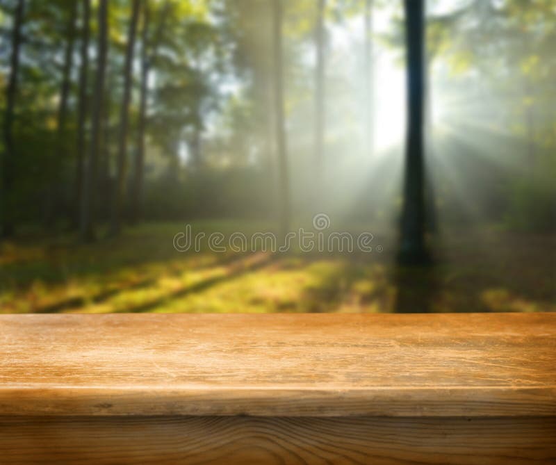 Empty table stock image. Image of component, empty, light - 42892367