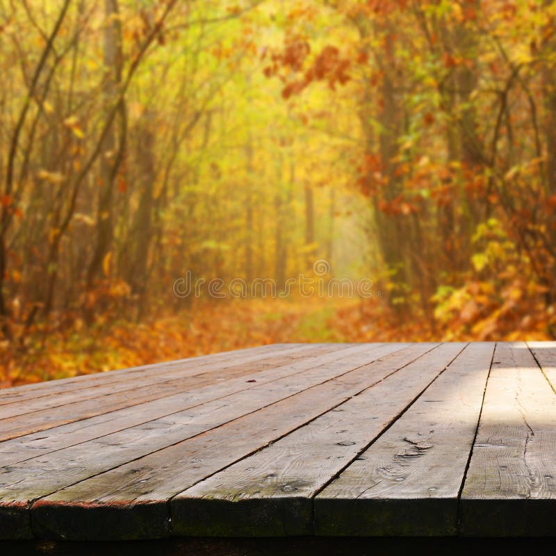 Empty table stock image. Image of orange, nature, rustic - 45323045