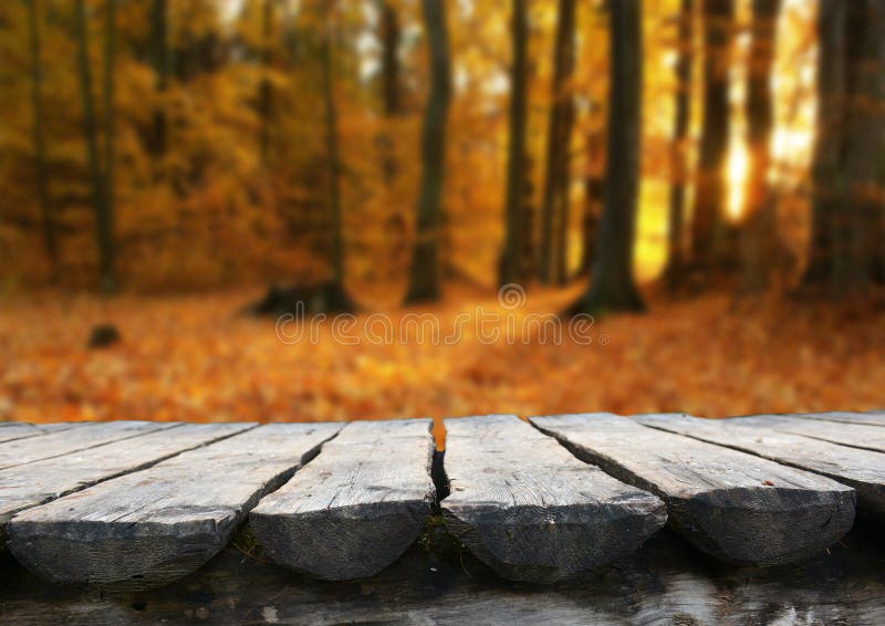 Empty table stock image. Image of plank, forest, path - 45336325
