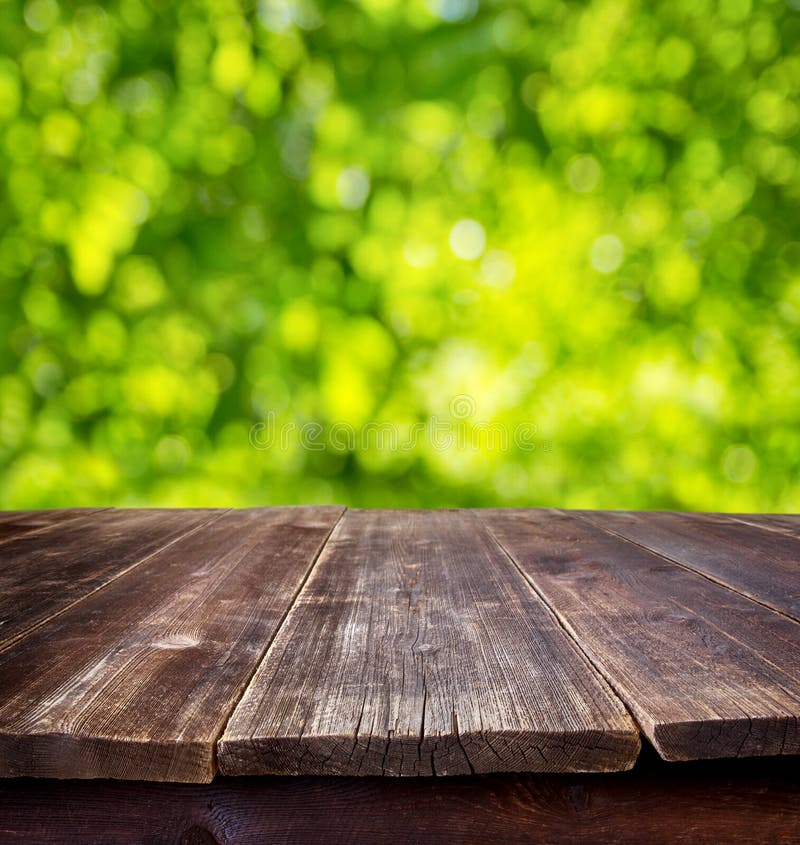 Empty table in the garden stock photo. Image of green - 40513700
