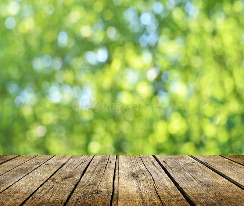 Empty table in the garden stock photo. Image of green - 40513700