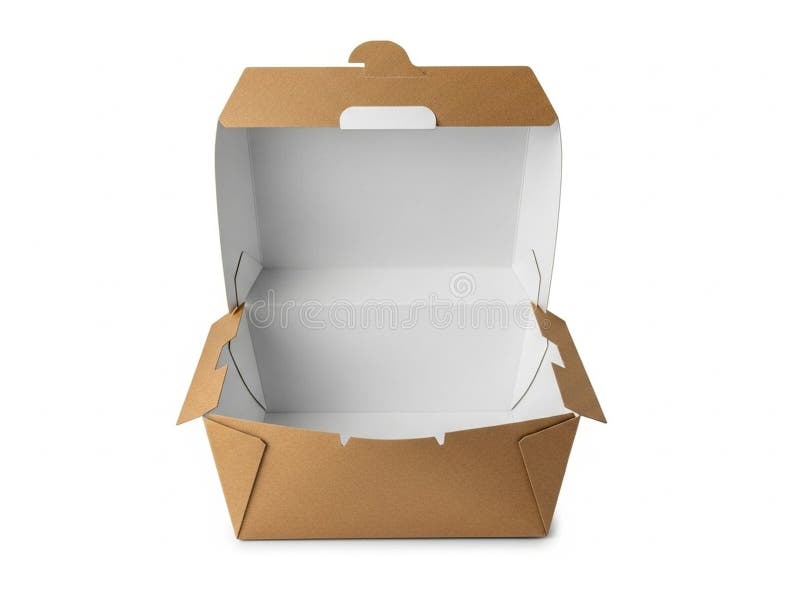 Empty Rectangular Paper Food Container Stock Illustrations – 832 Empty ...