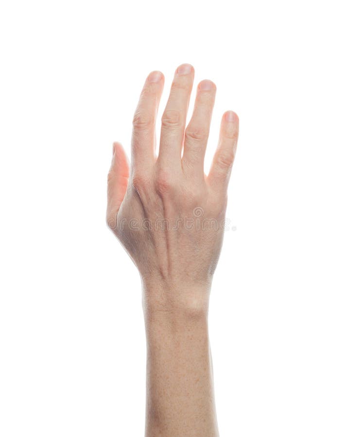 Empty Taking Man Hand Isolated on White. Hand Holding Person Stock ...