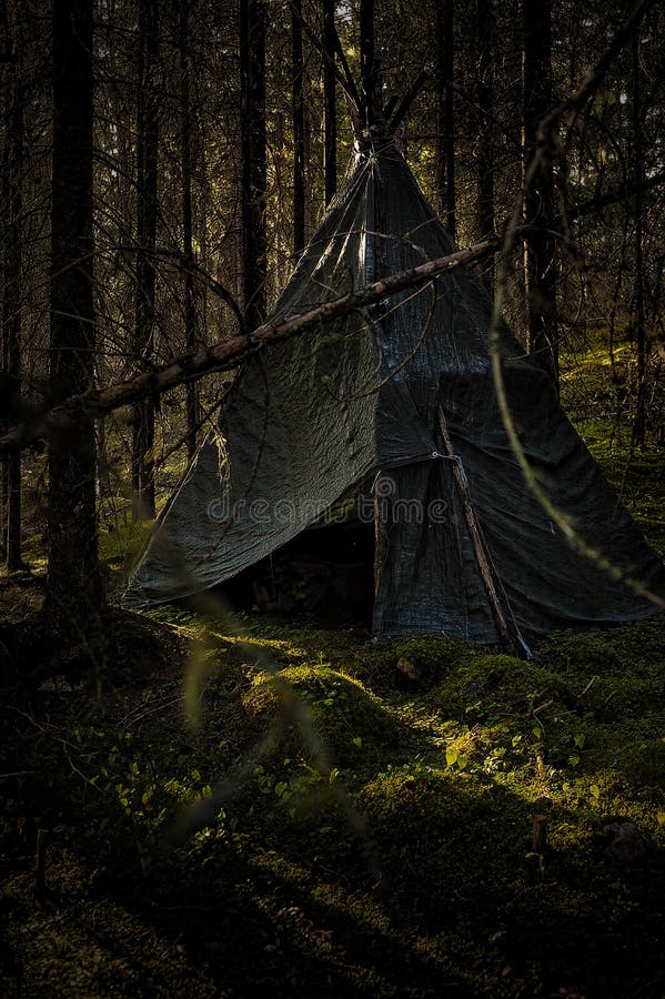A Empty Tent In A Dark Forest Stock Image Image Of Lonely Wilderness 178412431