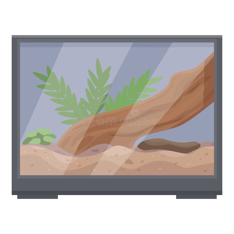 Empty Terrarium with Substrate and Branches is Waiting for Animal Stock ...