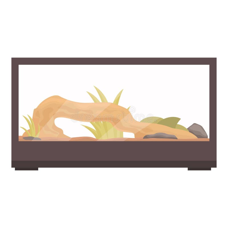 Empty Terrarium Waiting for Reptile or Amphibian Pet Stock Vector ...