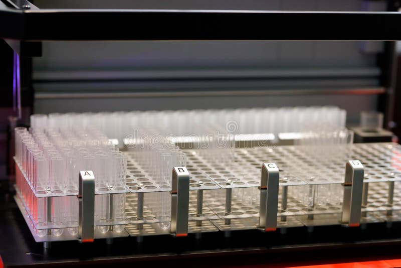 Empty Test Tubes in Racks in Science Research Lab Stock Photo - Image ...