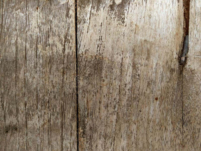 Empty Texture of Wall Wood. Elegant and Beautiful Background Stock ...