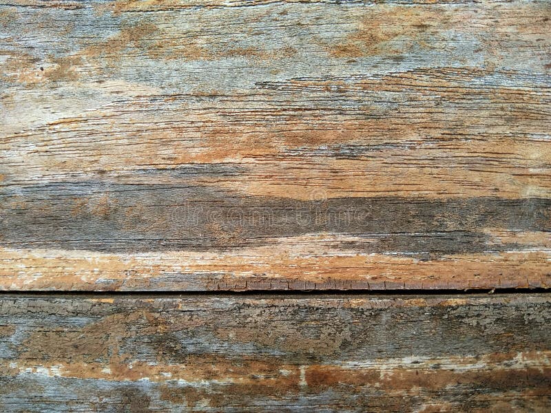 Empty Texture of Wall Wood. Elegant and Beautiful Background Stock ...