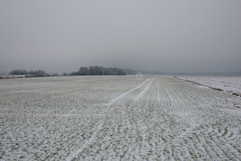 Empty Textured Field in Winter Countryside Stock Image - Image of field ...