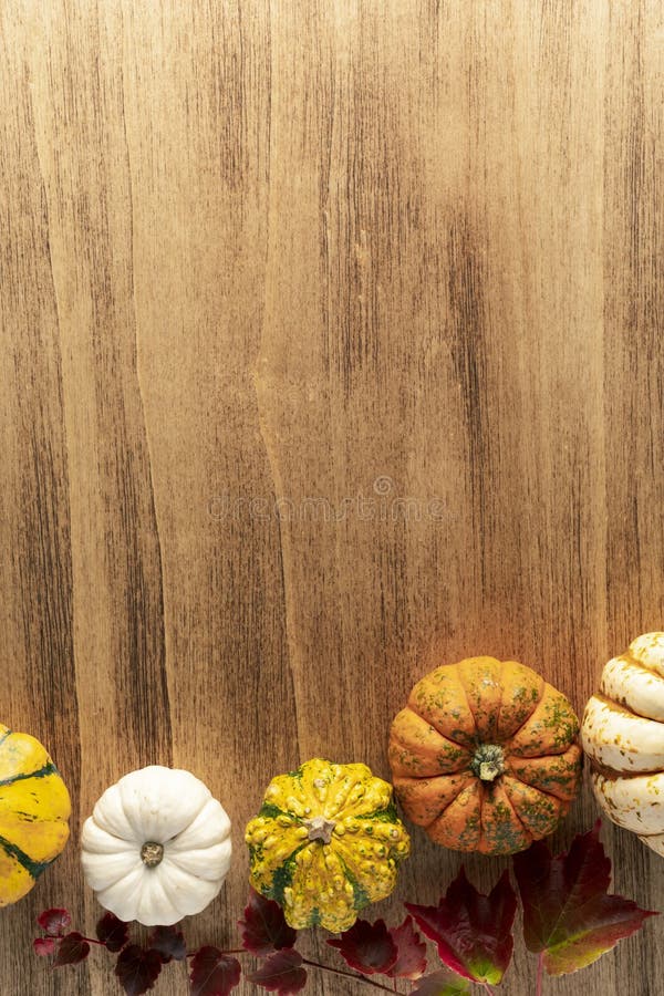 Empty Thanksgiving Background with Pumpkins and Autumn Leaves, Stock ...