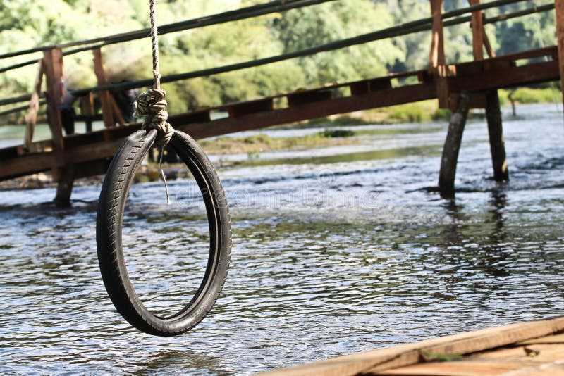 Empty Tire Swing on River Bank Stock Image - Image of local, park ...