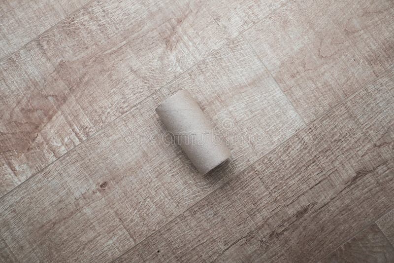 Empty Tissue Paper Roll Core Isolated on White Background with Clipping ...