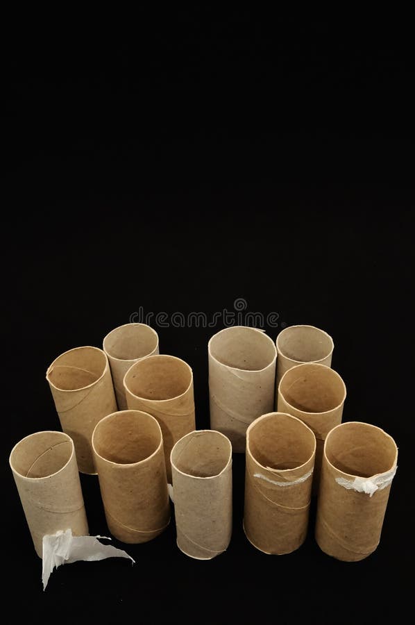 Empty Toilet Paper Roll stock photo. Image of roll, recycled - 188036474