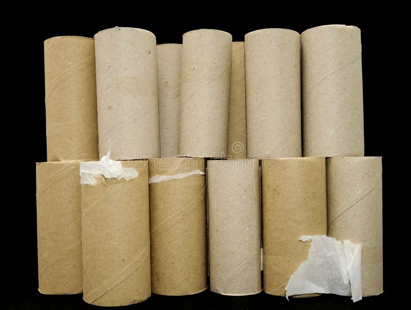 Empty Toilet Paper Roll stock image. Image of basic - 240992971