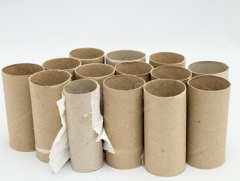 Empty Toilet Paper Roll stock image. Image of paper - 240992989