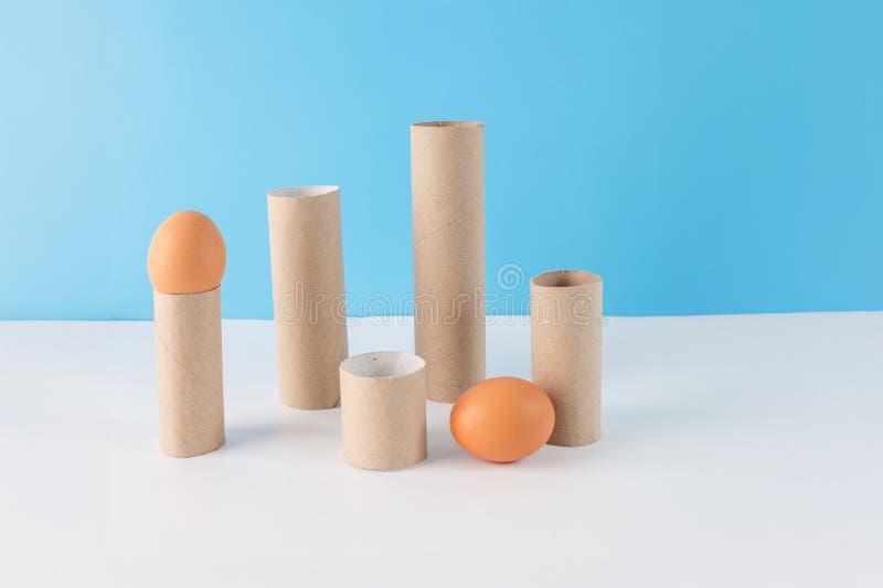 Empty Toilet Paper Roll Tubes and Household Paper Towel Rolls for ...