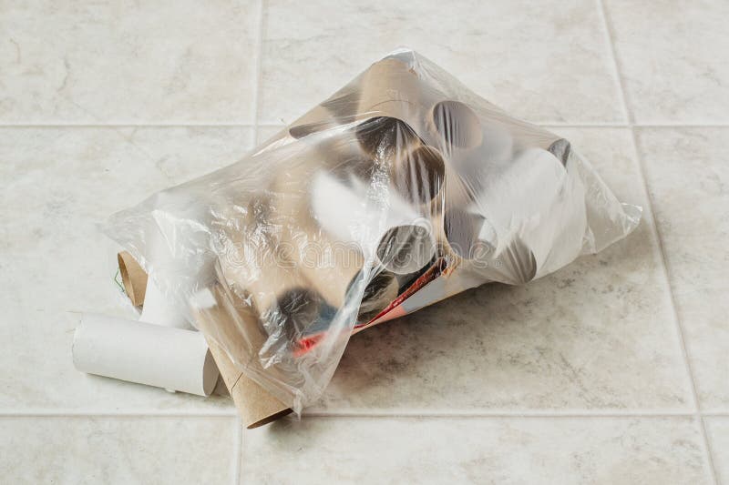 Empty Toilet Paper Rolls stock image. Image of hygiene - 375862003