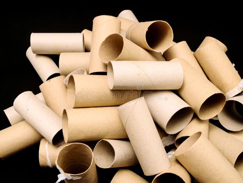 Empty Toilet Paper Roll stock image. Image of household - 241071675