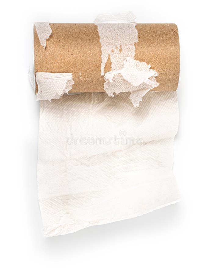 Empty Towel Paper Roll stock photo. Image of clean, health - 295611410