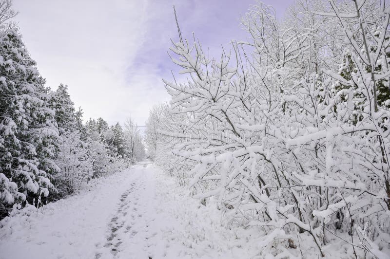 Toronto Snow Wallpaper Stock Photos - Free & Royalty-Free Stock Photos ...