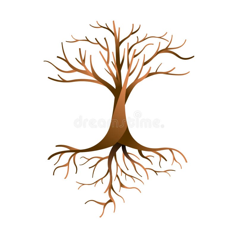 Empty Tree Isolated with Branches and Roots Stock Vector - Illustration ...