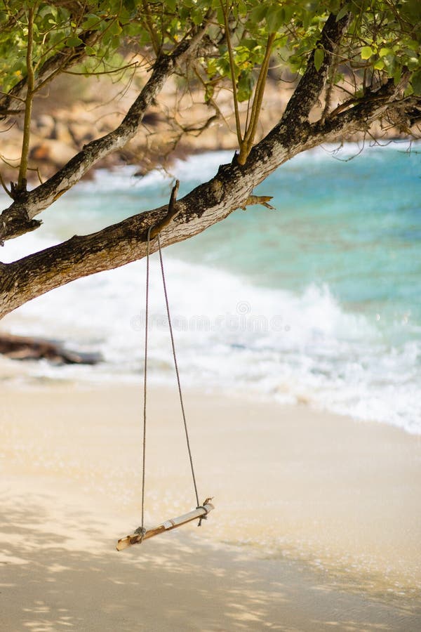Empty Tree Swing Overlooking Pristine Beach and Ocean Stock Photo ...