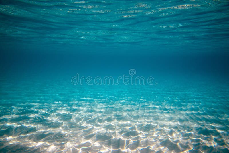 Empty Underwater Ocean Bottom Background Stock Image - Image of beam ...
