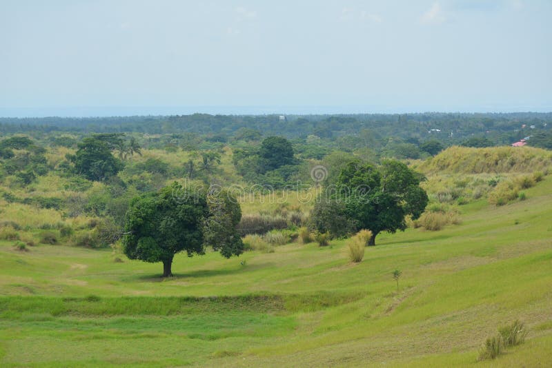 Empty Vacant Lot with Grass and Trees View during Daytime Stock Image ...