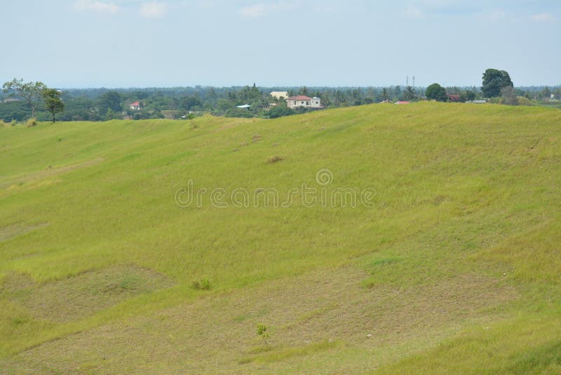 Empty Vacant Lot with Grass and Trees View during Daytime Stock Image ...