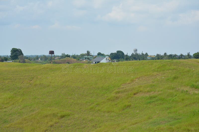 Empty Vacant Lot with Grass and Trees View during Daytime Stock Image ...