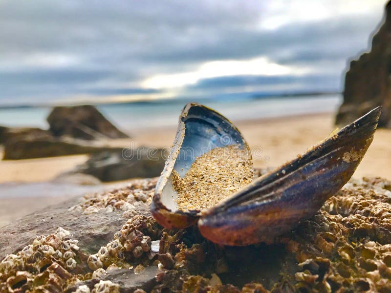 Empty vessel stock image. Image of beach, empty, open - 84249165