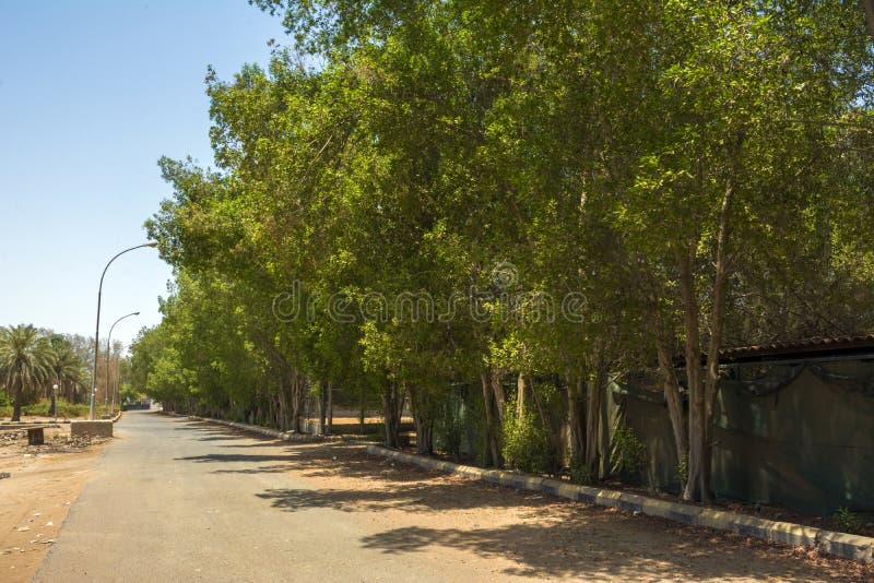 Empty village roadway stock image. Image of route, country - 239600575