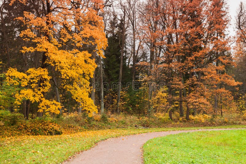 Empty Walking Path in Autumn Park Stock Photo - Image of environment ...