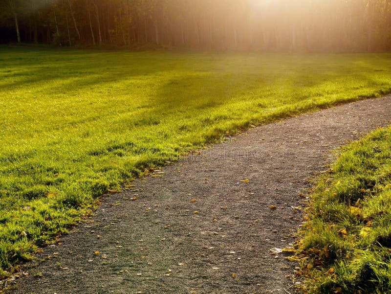Empty Walking Path in a Park, Sunny Day Stock Photo - Image of season ...