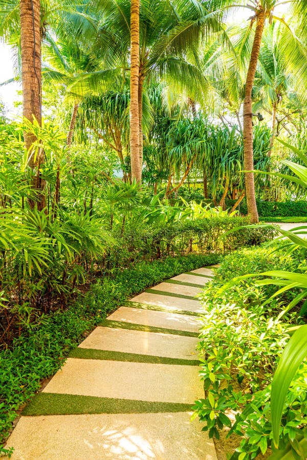 Walkway with Tree in Wild, Beauty Nature Scene Stock Image - Image of ...