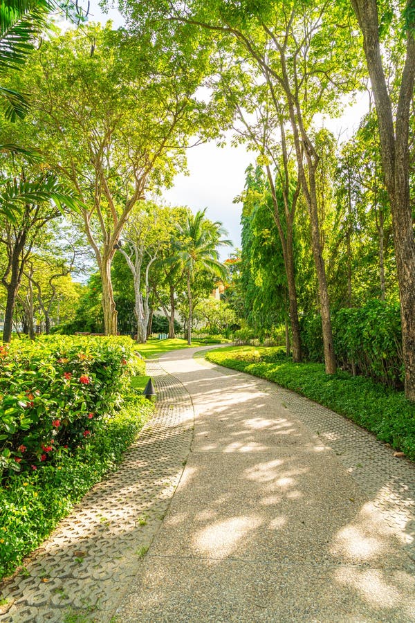 Empty walkway with tree stock image. Image of exterior - 235006193
